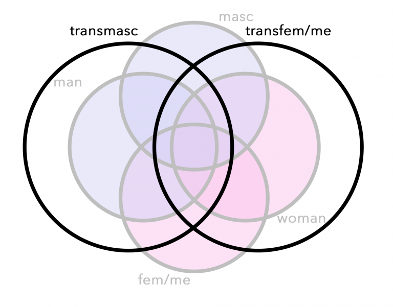 Masc and fem terminology – Lecter A.A. Wierstamann